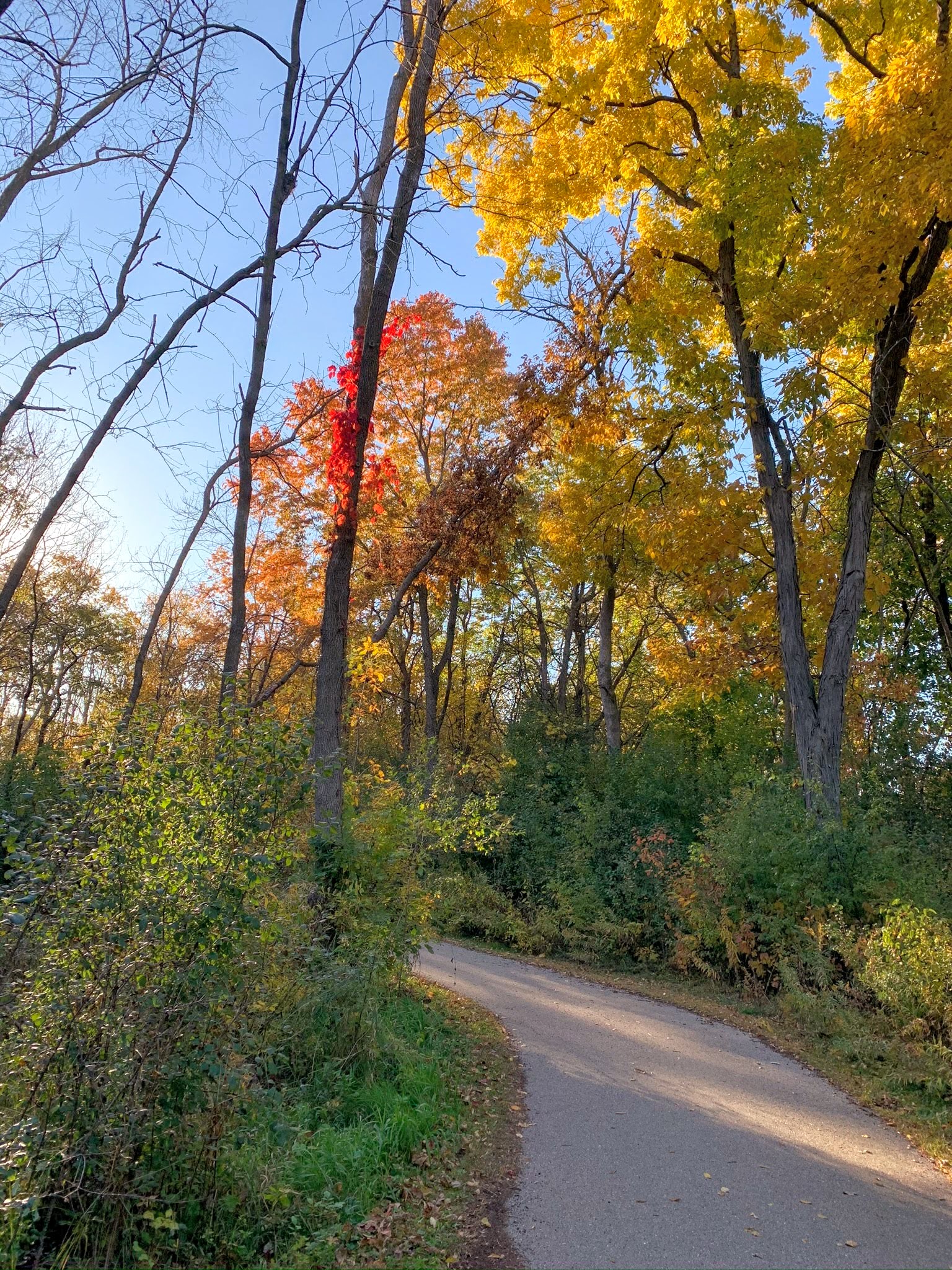 “Autumn is a second spring when every leaf is a flower.” — Albert Camus ...